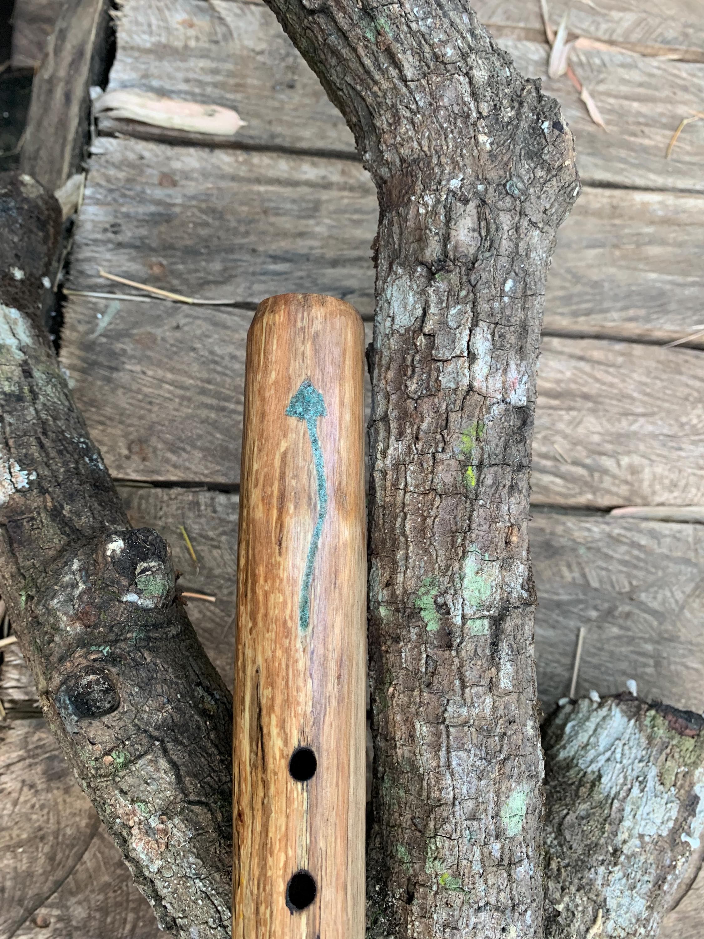 Native American Style Branch Flute Australian Pine Wood the Forest ...