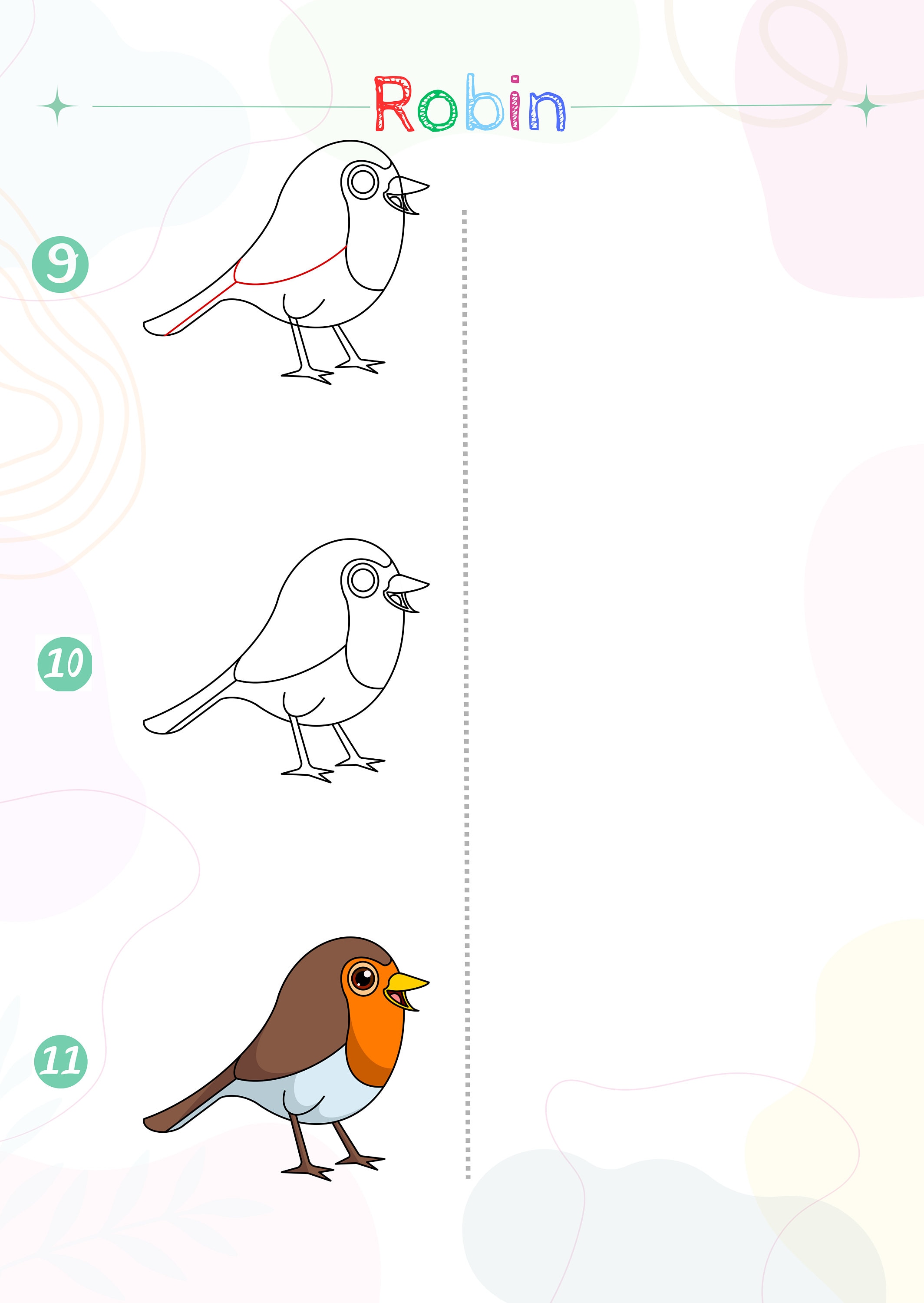 How to Draw Birds, Activity Book for Kids, Children Colouring Pages ...