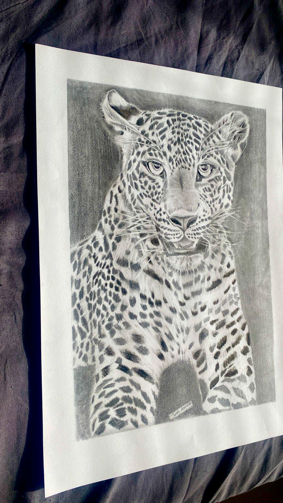 A Realistic Leopard Pencil Drawing – A3 Size Wildlife Sketch – Handmade ...