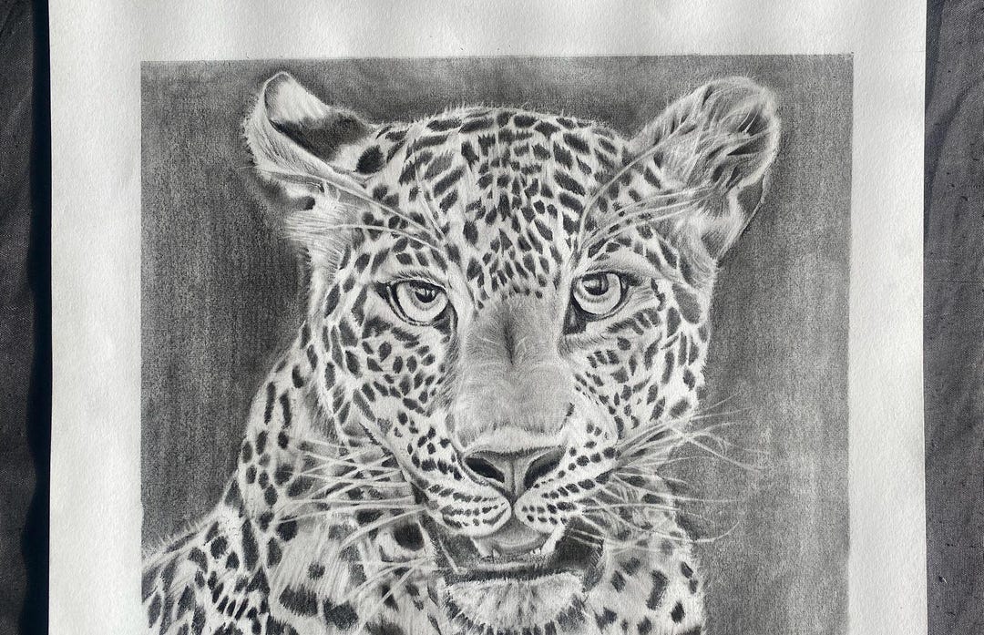 A Realistic Leopard Pencil Drawing – A3 Size Wildlife Sketch – Handmade ...