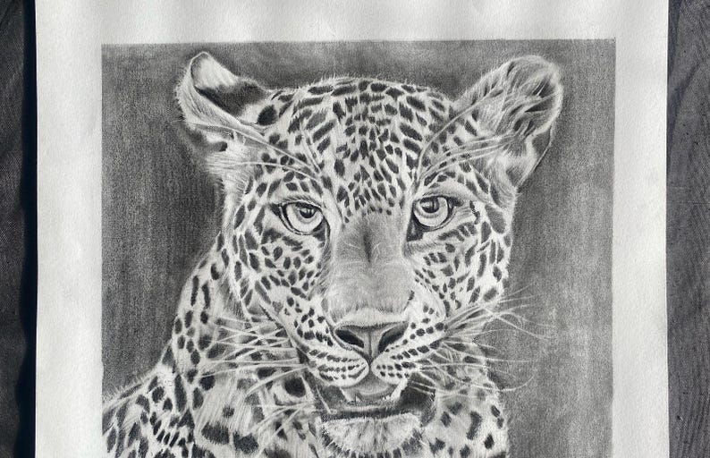 A Realistic Leopard Pencil Drawing – A3 Size Wildlife Sketch – Handmade ...