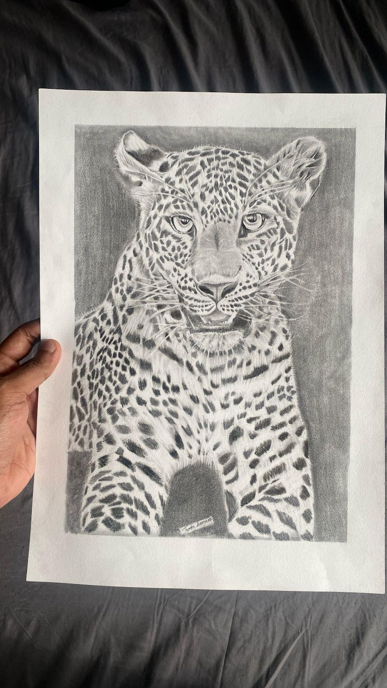A Realistic Leopard Pencil Drawing – A3 Size Wildlife Sketch – Handmade ...