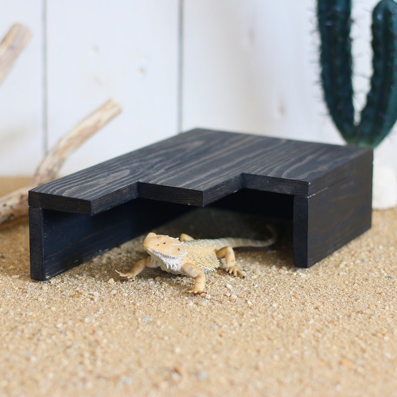 Reptile Hide - Etsy