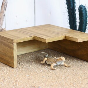 Funky Corner Reptile Hide Vivarium Decor for Leopard Geckos, Bearded ...