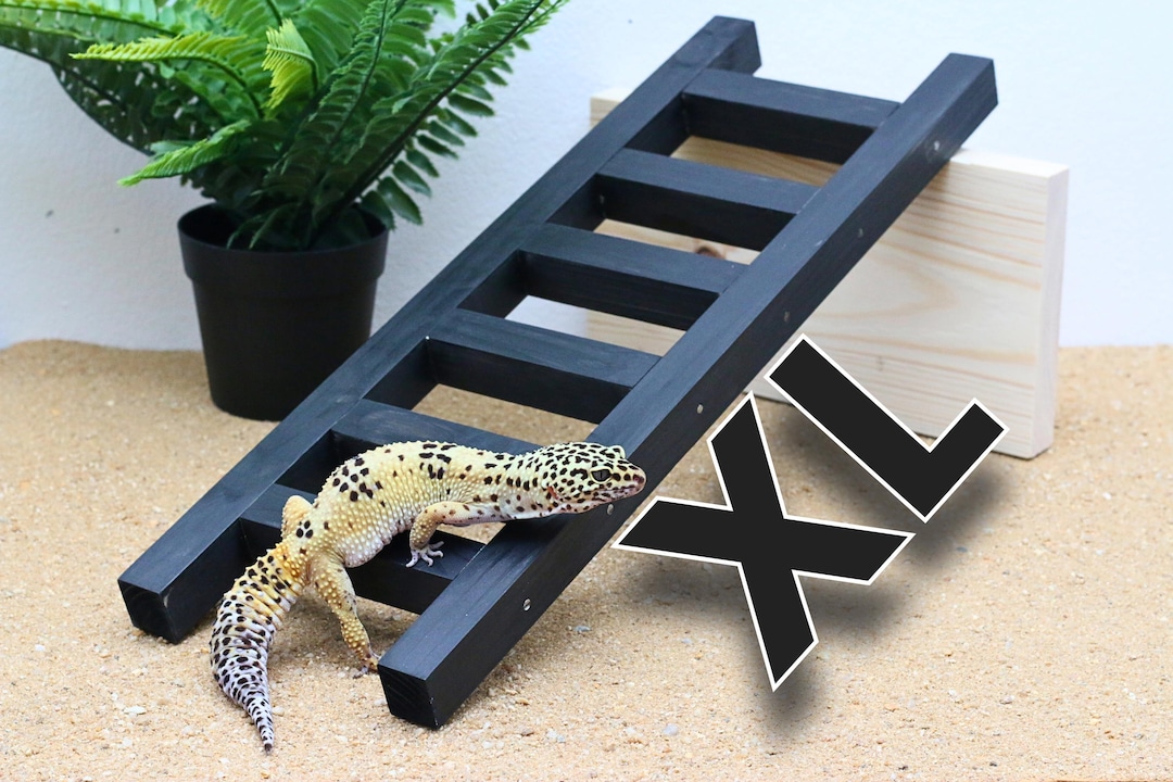 XL Wooden Bearded Dragon Ladder: Reptile Basking Platform & Enclosure ...