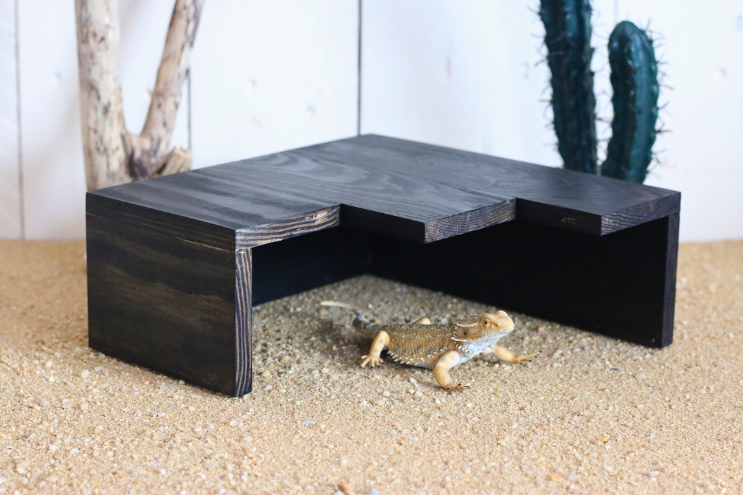 Funky Corner Reptile Hide Vivarium Decor for Leopard Geckos, Bearded ...