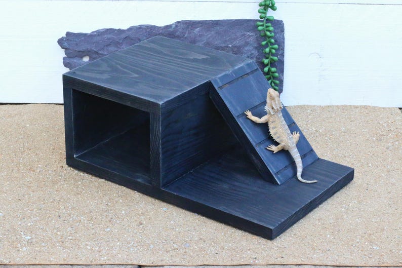 Wooden Reptile Hide and Ramp — Natural Terrarium Platform for Geckos ...