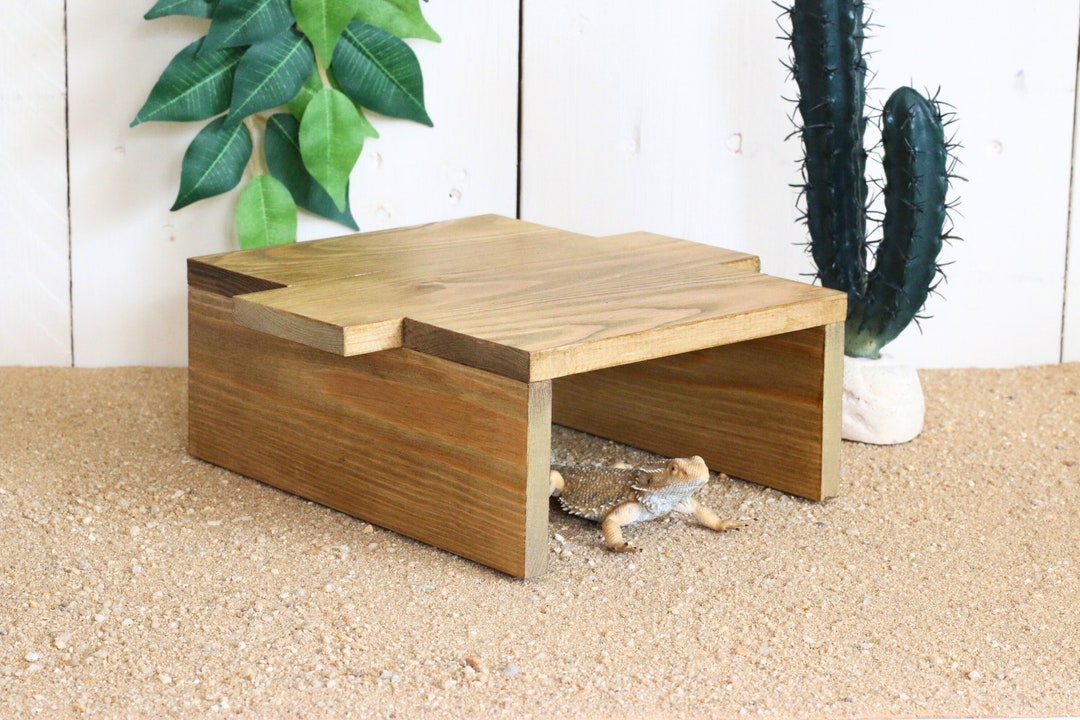 Natural Wooden Reptile Tunnel Hide. Vivarium & Terrarium Decorations ...