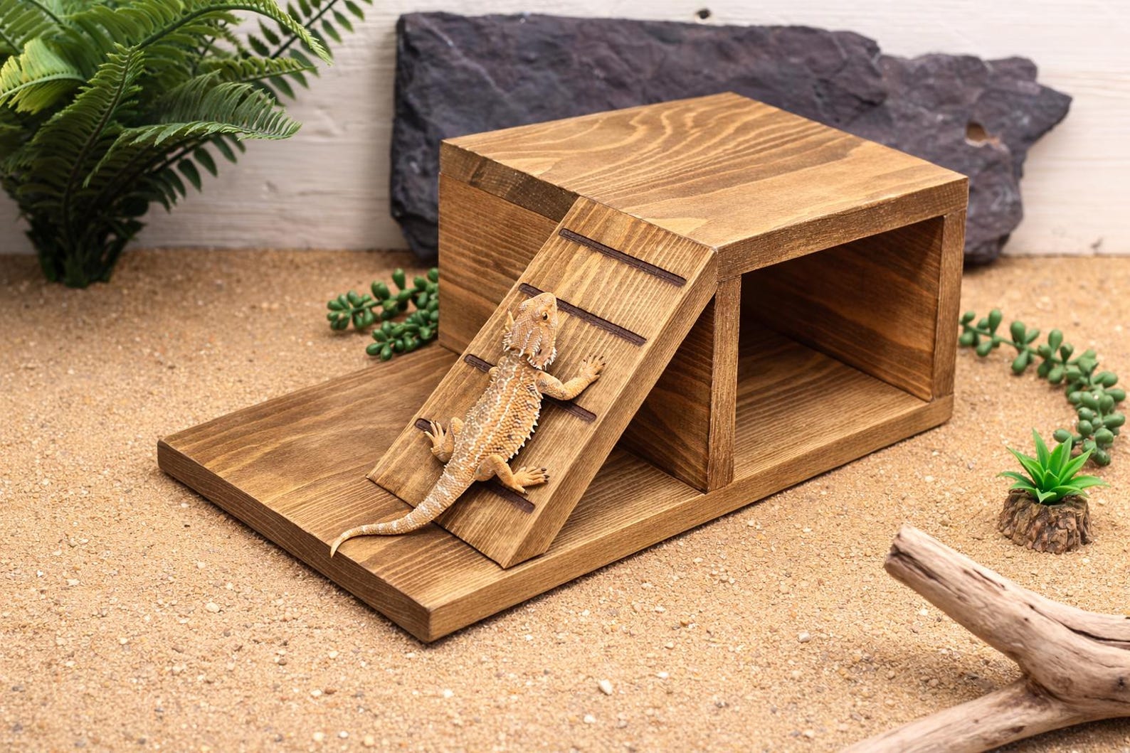 Wooden Reptile Hide and Ramp — Natural Terrarium Platform for Geckos ...