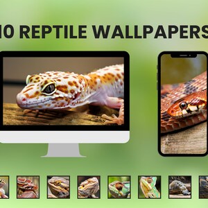 Reptile Desktop Wallpapers. Computer/mobile/tablet Backgrounds - Etsy