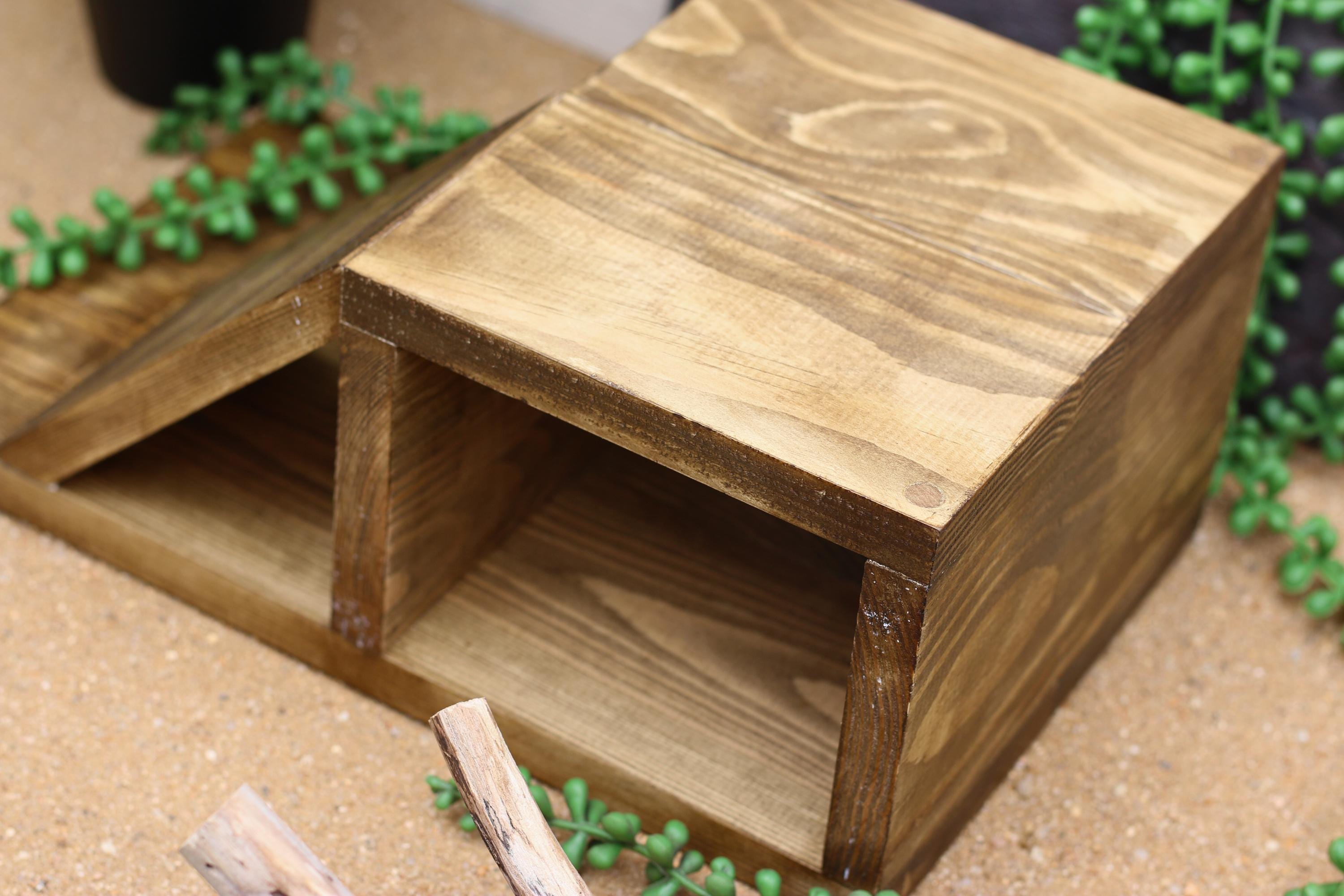 Wooden Reptile Hide and Ramp — Natural Terrarium Platform for Geckos ...