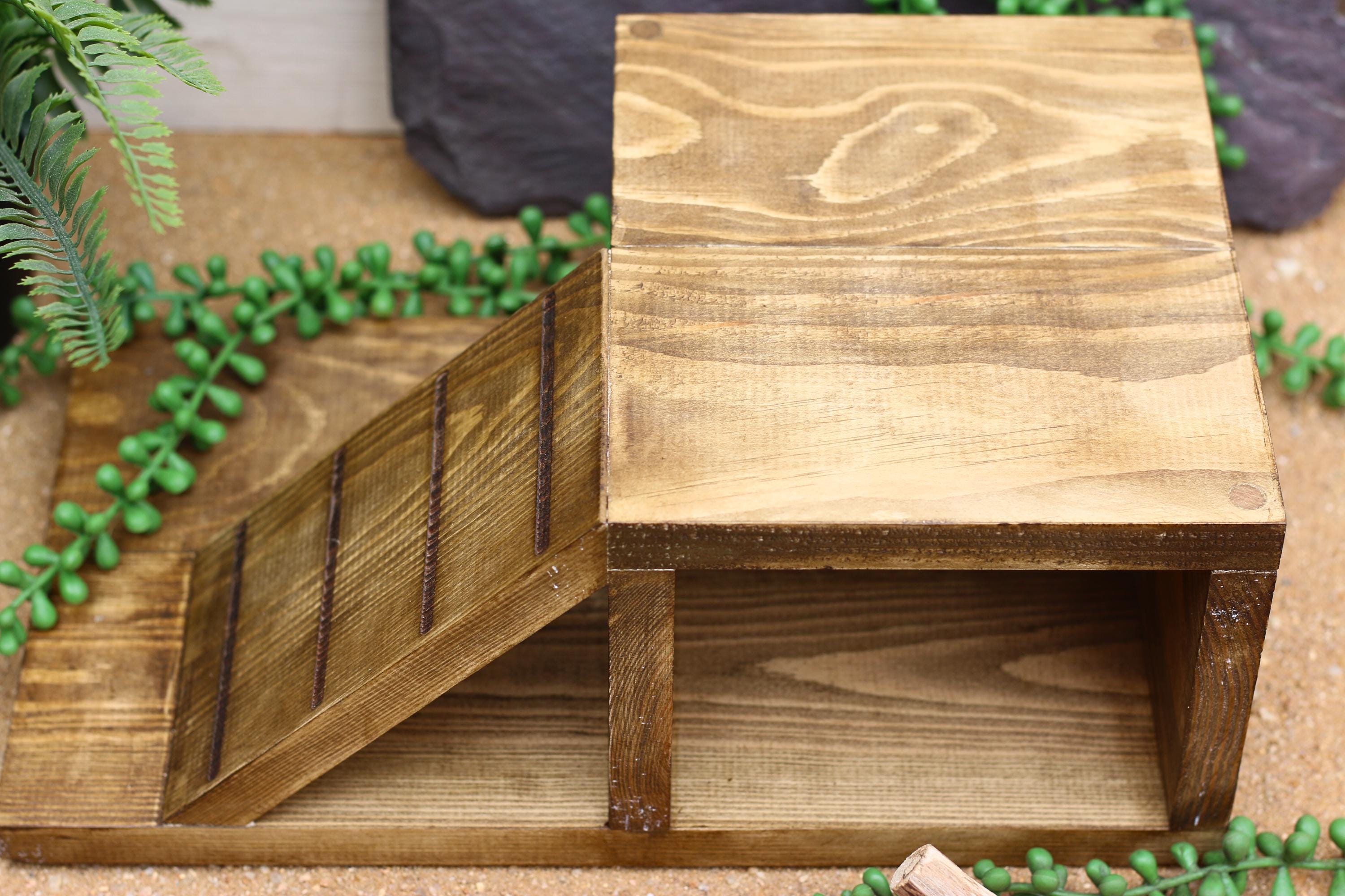 Wooden Reptile Hide and Ramp — Natural Terrarium Platform for Geckos ...