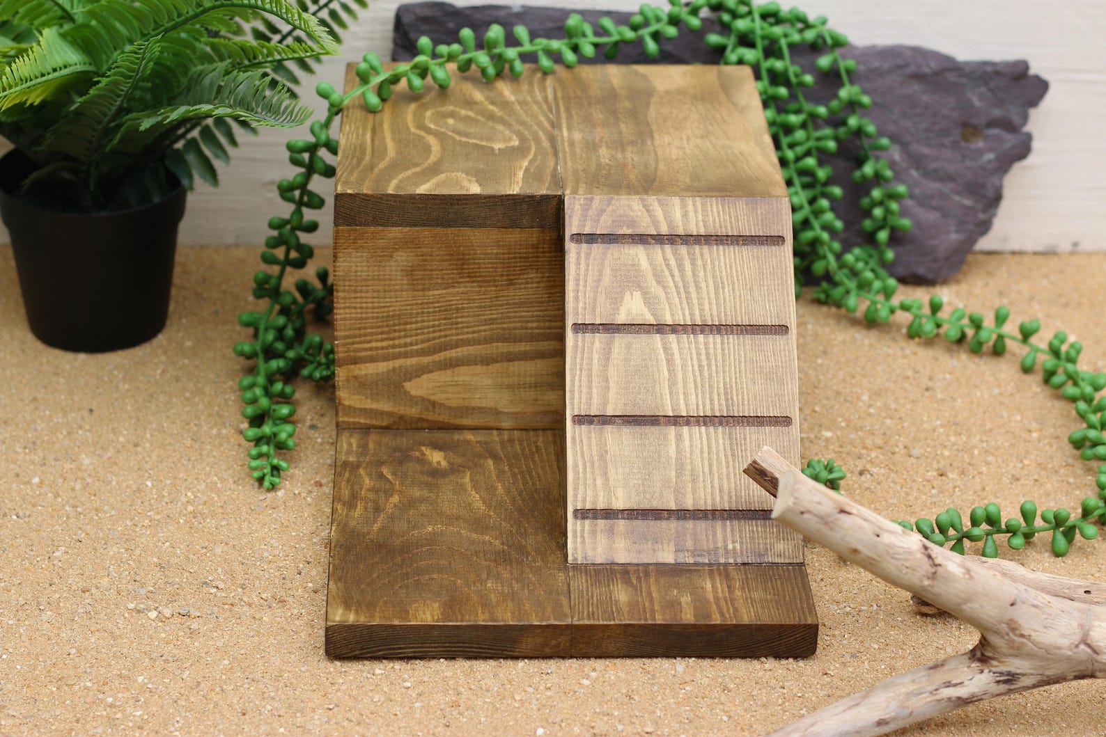 Wooden Reptile Hide and Ramp — Natural Terrarium Platform for Geckos ...