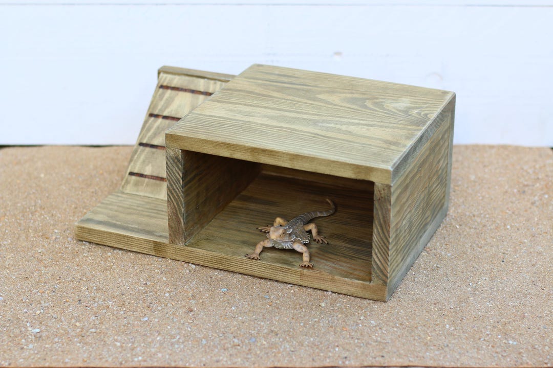 Handmade Wooden Reptile Hide With Ramp – Natural Terrarium Platform for ...
