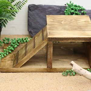 Wooden Reptile Hide and Ramp — Natural Terrarium Platform for Geckos ...