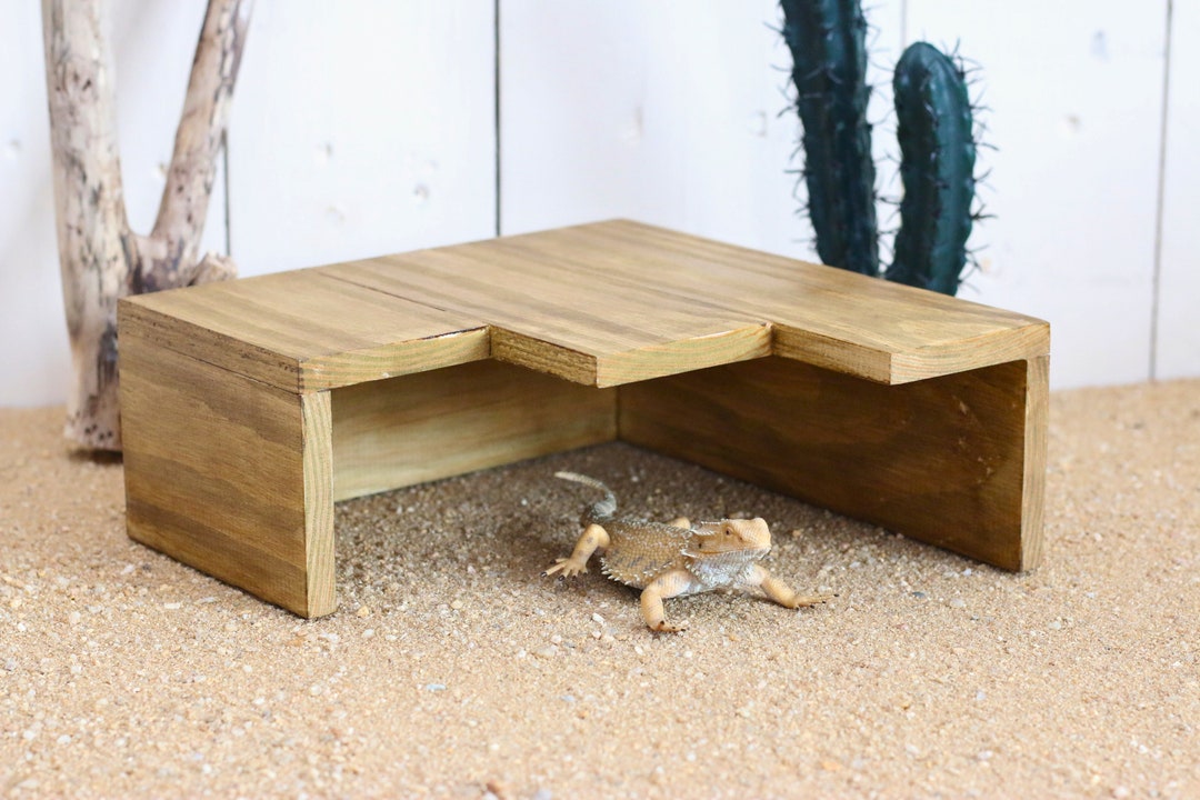 Funky Corner Reptile Hide – Vivarium Decor for Leopard Geckos, Bearded ...