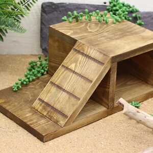 Wooden Reptile Hide and Ramp — Natural Terrarium Platform for Geckos ...