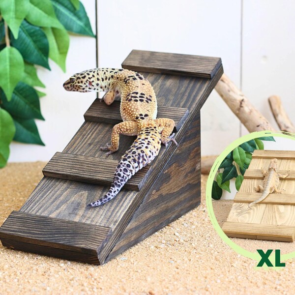 Bearded Dragon - Etsy Canada