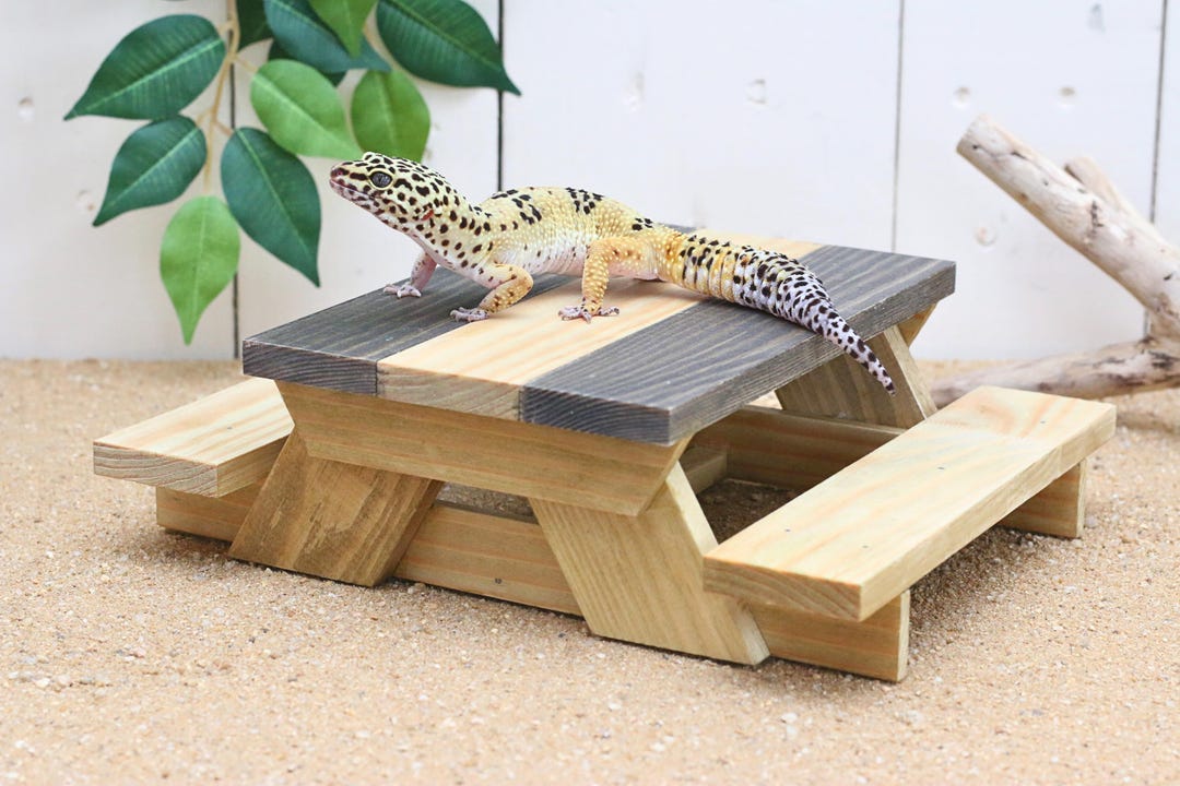 Reptile Picnic Bench and Bearded Dragon Basking Platform. Natural, Safe ...