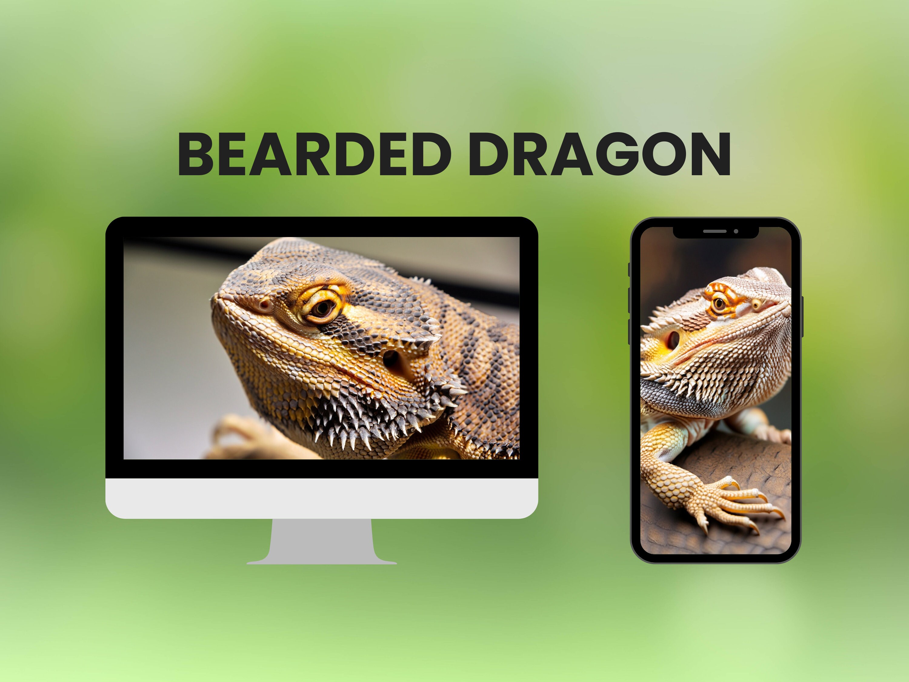 Reptile Desktop Wallpapers. Computer/mobile/tablet Backgrounds - Etsy