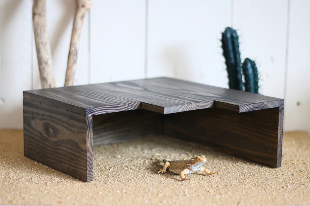 XL Funky Corner Reptile Hide. vivarium Decoration for Leopard Geckos ...