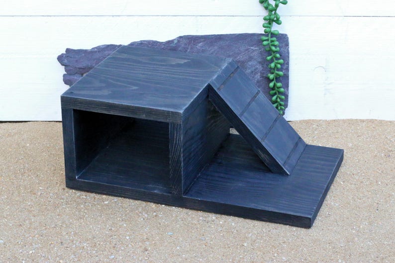 Wooden Reptile Hide and Ramp — Natural Terrarium Platform for Geckos ...