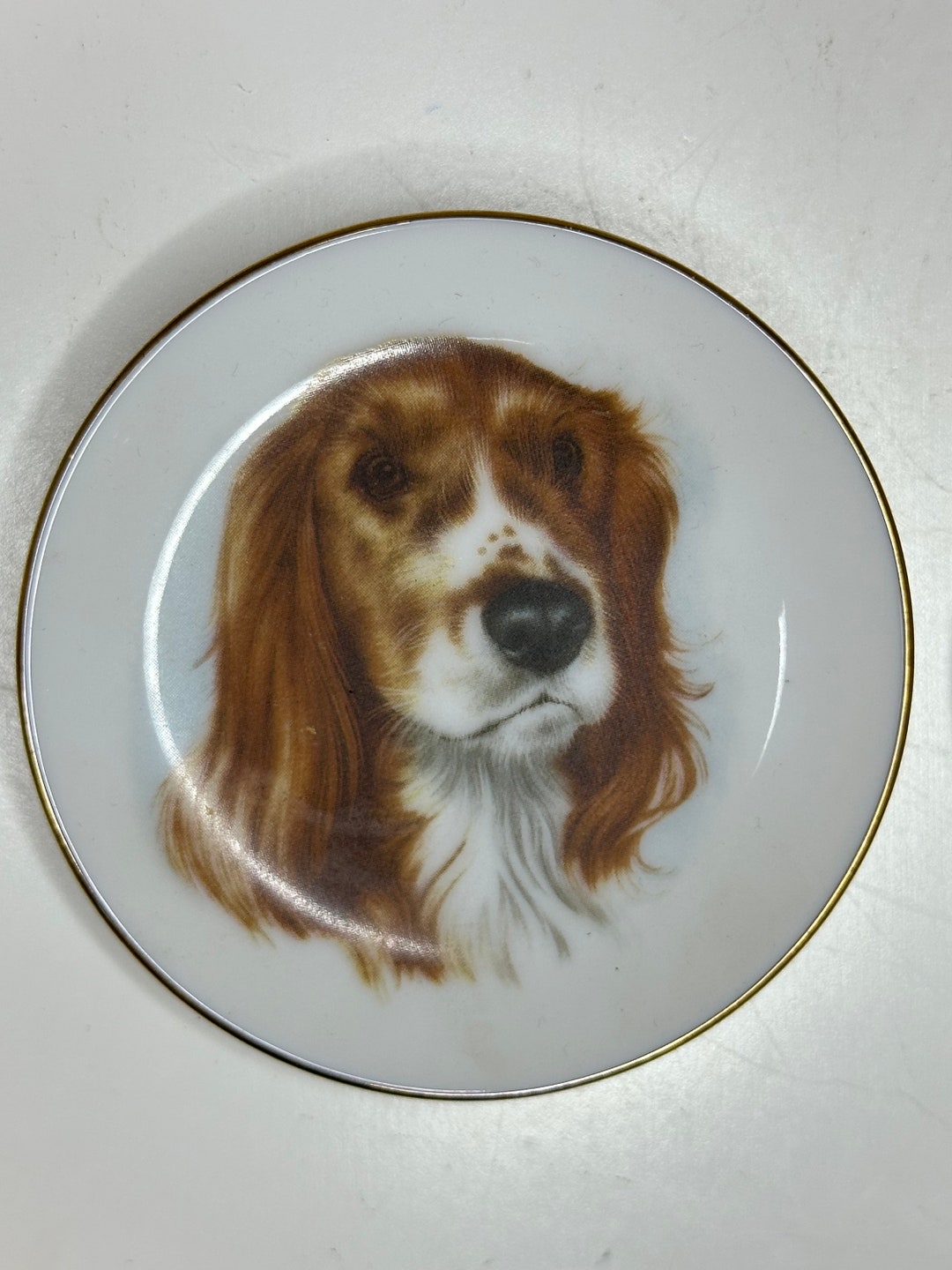Mini Dog Plates Vintage Fine Bone China England Lovely Set of Four ...