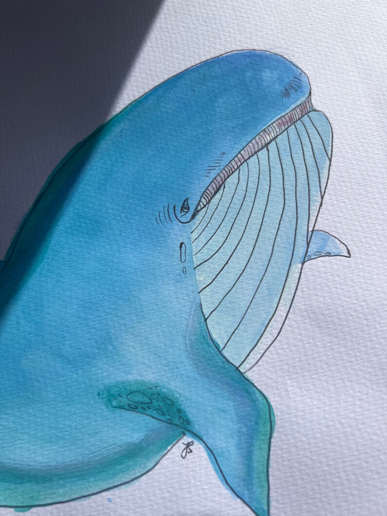 Blue Whale Watercolour - Etsy