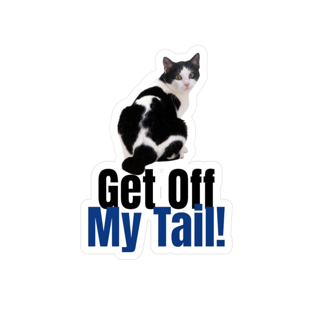 Vinyl Bumper Sticker / Decal - Get off My Tail Funny Stop Riding My Ass ...