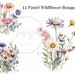 Pastel Watercolor Wildflower Clipart Bundle | Delicate Blossoms in Soft ...