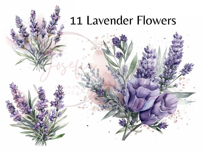 Watercolor Lavender Flower Clipart Bouquets for Card Making Lavender ...