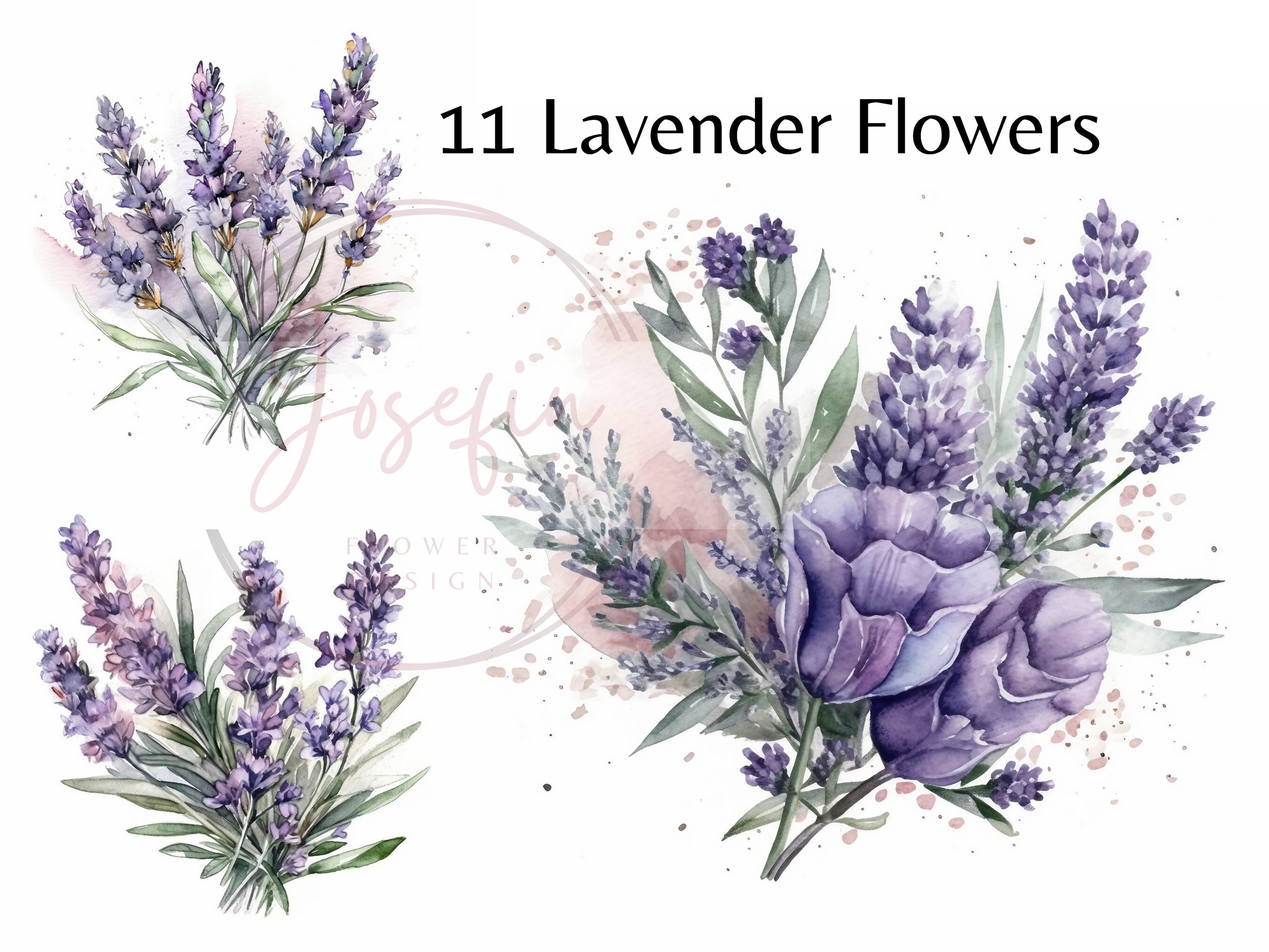 Watercolor Lavender Flower Clipart Bouquets for Card Making Lavender ...