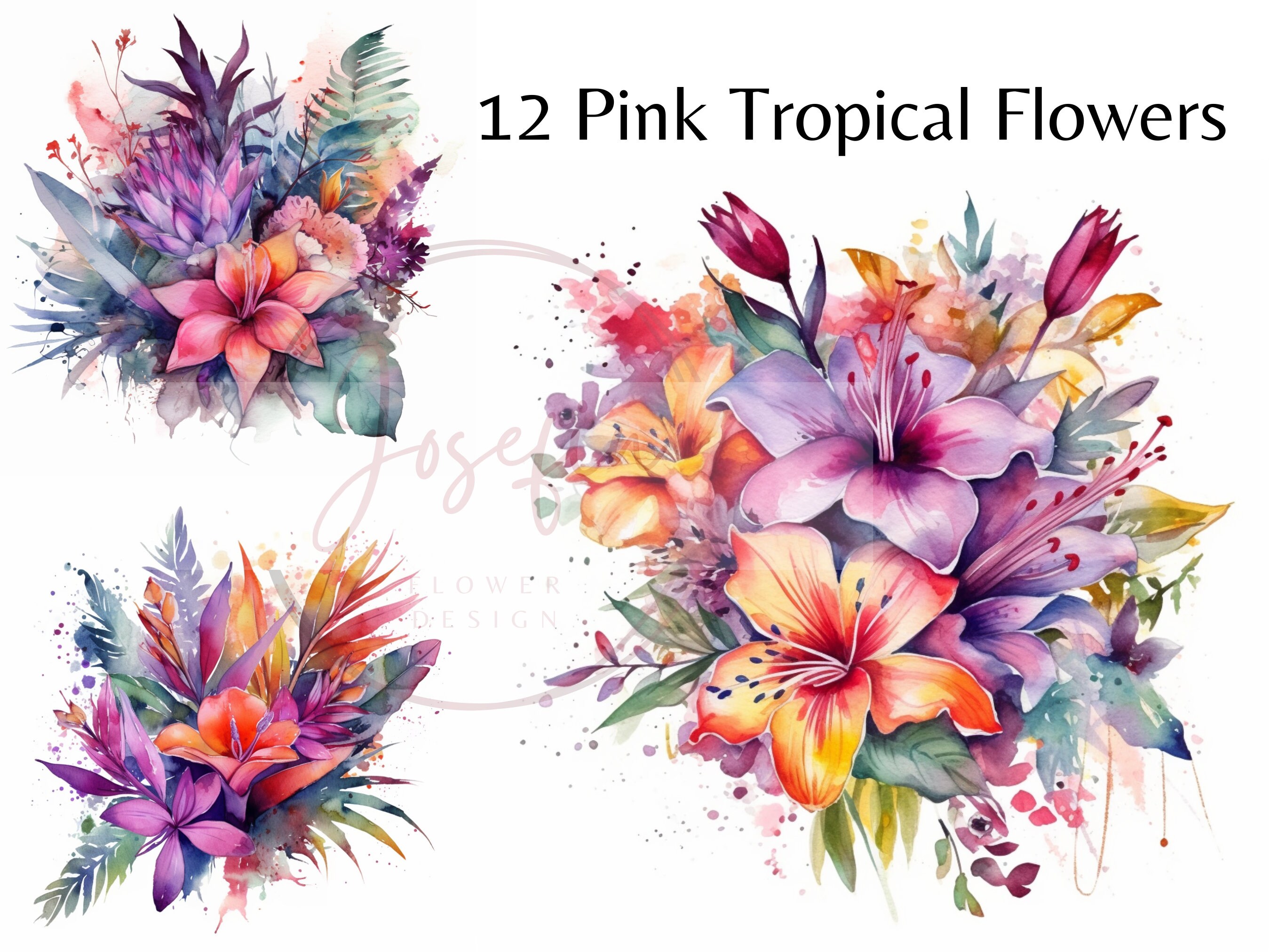 Watercolor Tropical Flower Clipart PNG, Pink Tropical Flower Bouquets ...