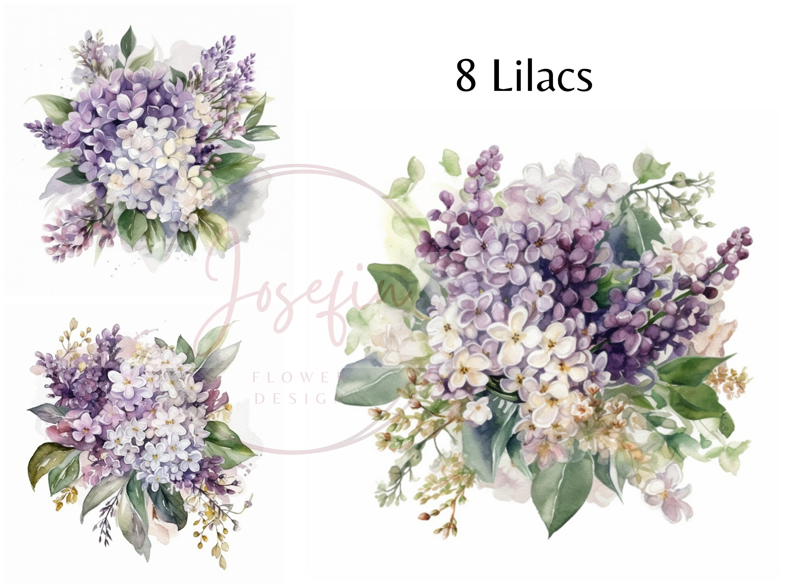 Watercolor Lilacs Clipart, Purple Lilacs, White Lilacs, Digital ...