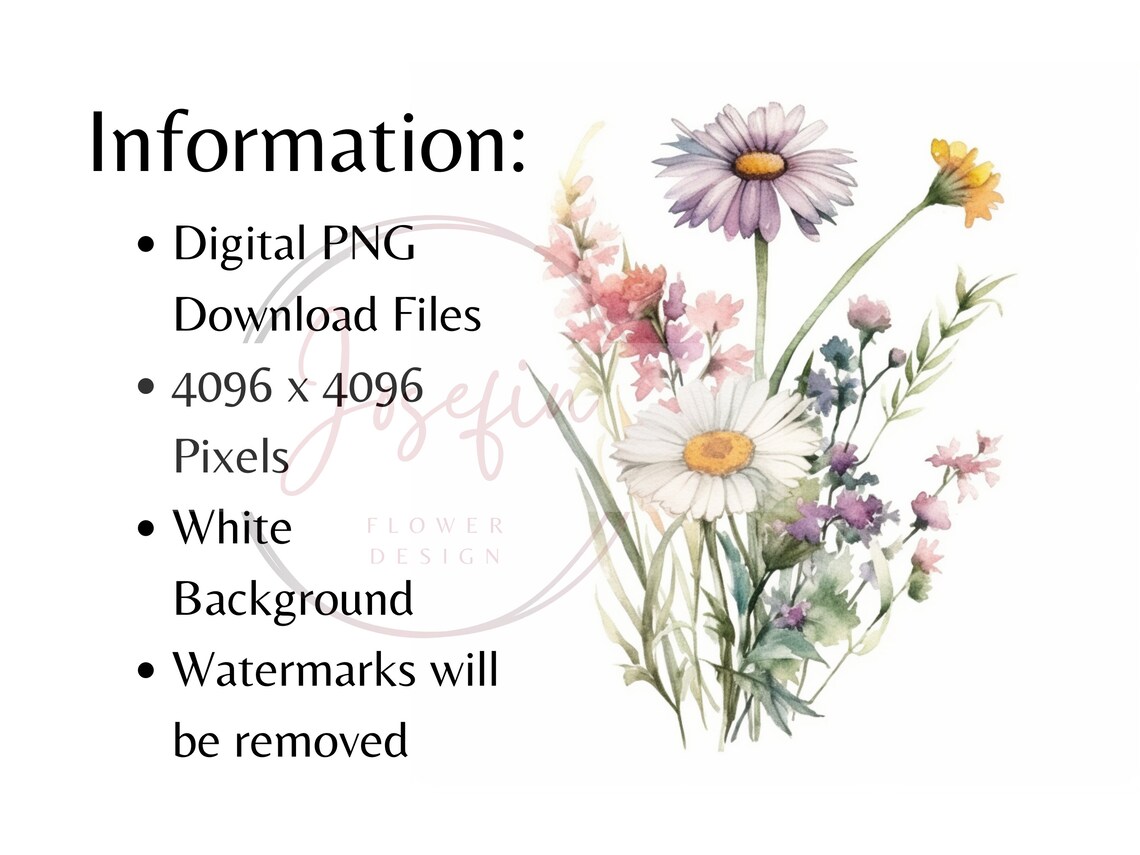 Pastel Watercolor Wildflower Clipart Bundle Delicate Blossoms in Soft ...