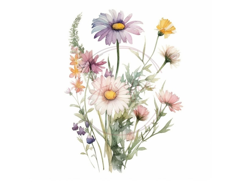Pastel Watercolor Wildflower Clipart Bundle Delicate Blossoms in Soft ...