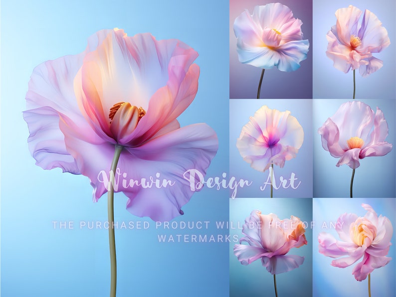 50 Flower Digital Backdrop Colorful Floral Digital Background - Etsy