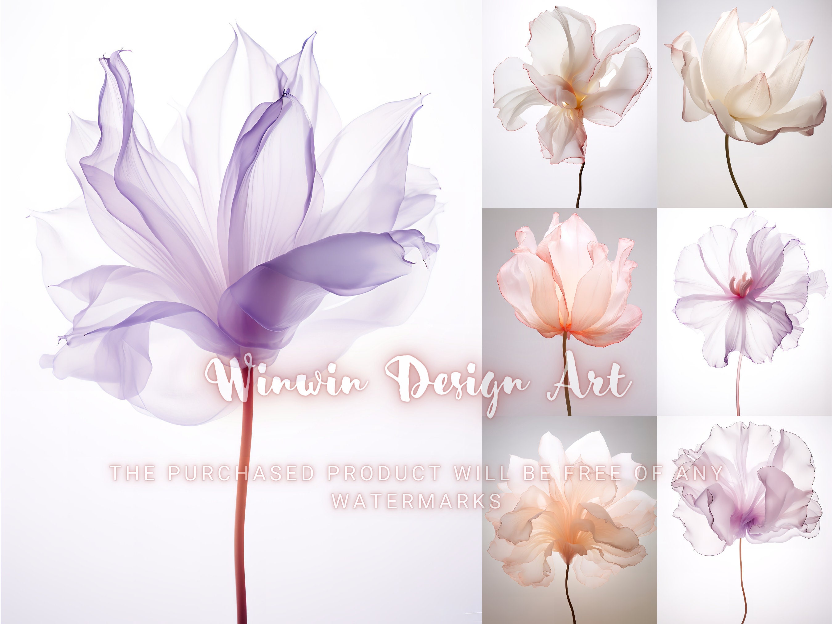 50 Flower Digital Backdrop Blooming Petals Digital Background Floral ...