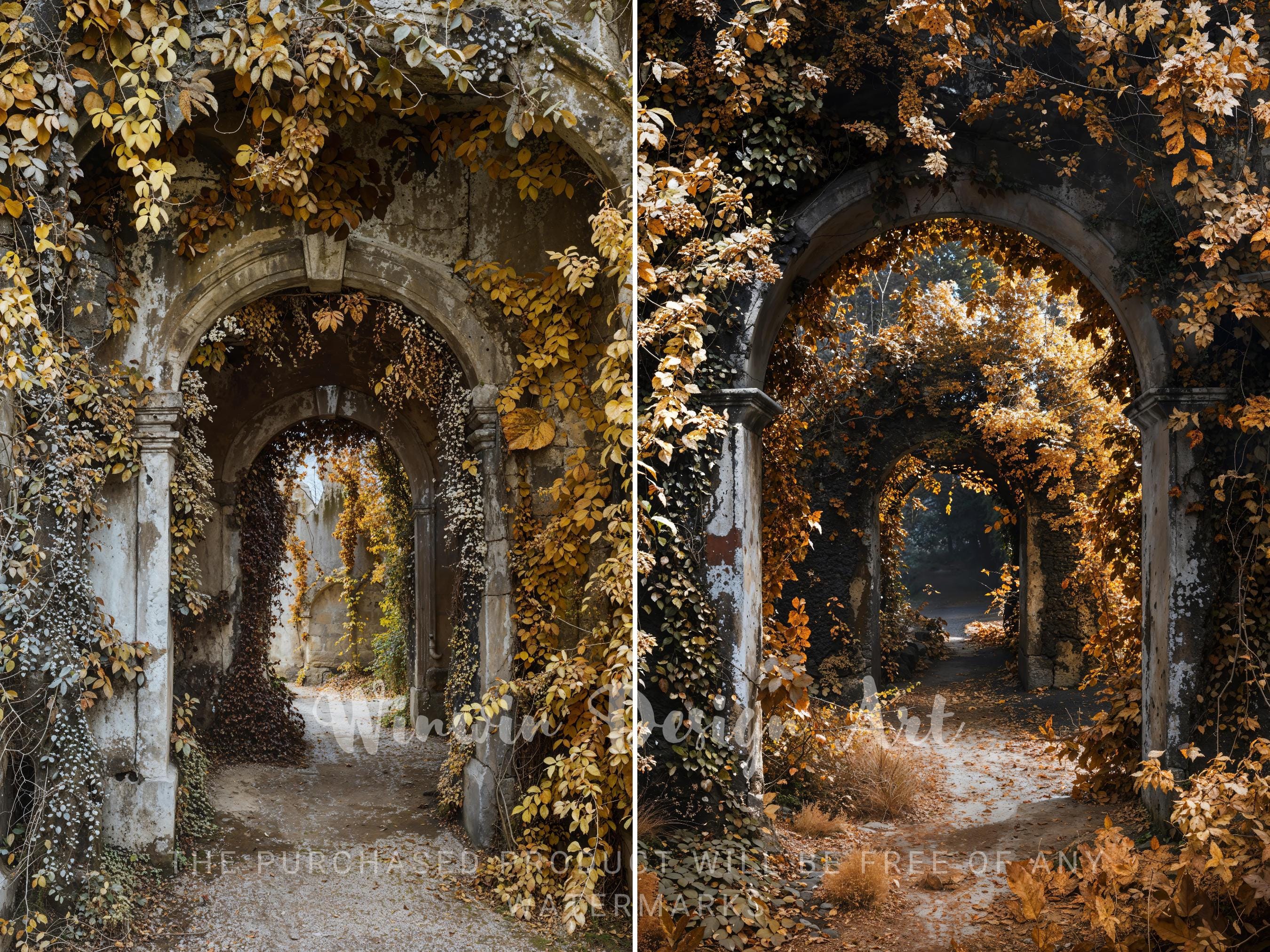 Ancient Archway Digital Backdrop Portrait Photoshop Overlay Nature ...