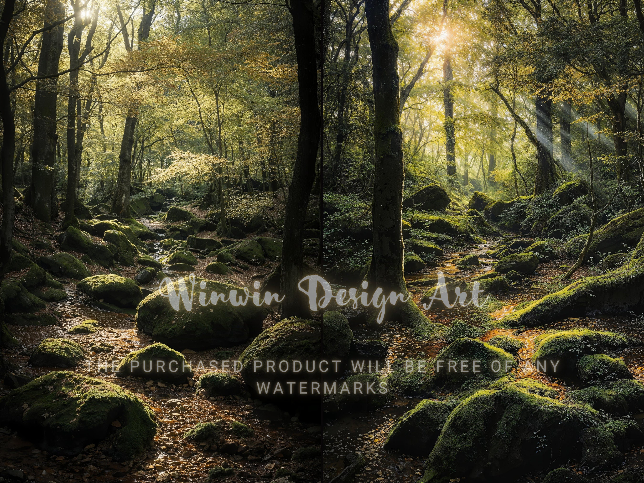 Forest Background Scene Portrait Overlay Photoshop Composite ...