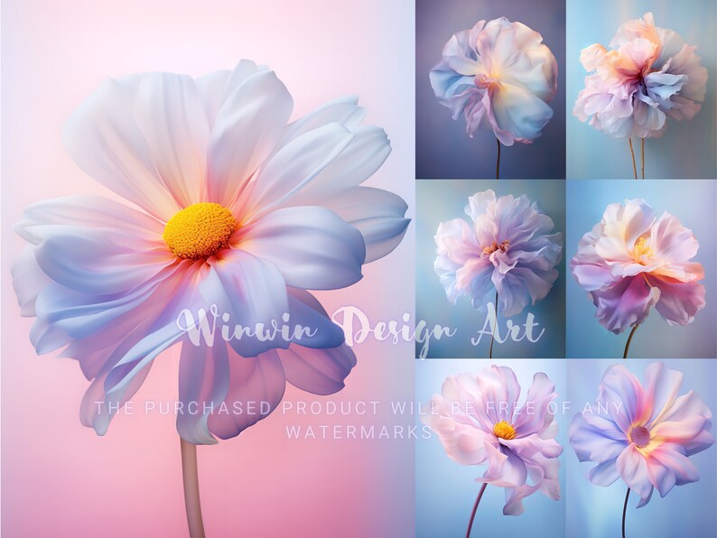 50 Flower Digital Backdrop Colorful Floral Digital Background - Etsy