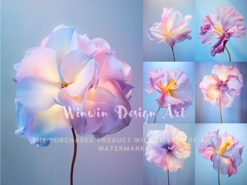 50 Flower Digital Backdrop Colorful Floral Digital Background - Etsy