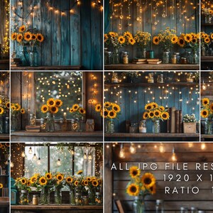 Sunflower Shelves Zoom Background for Virtual Meetings, Sunflower Theme ...