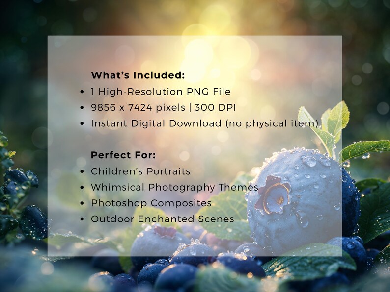 Blueberry Dream Digital Backdrop – Whimsical Children’s Photography ...