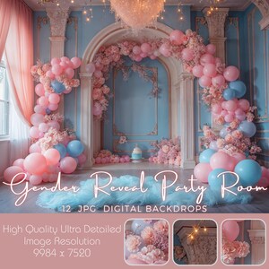 Gender Reveal Digital Backdrop Party Room Digital Background Baby Pink ...
