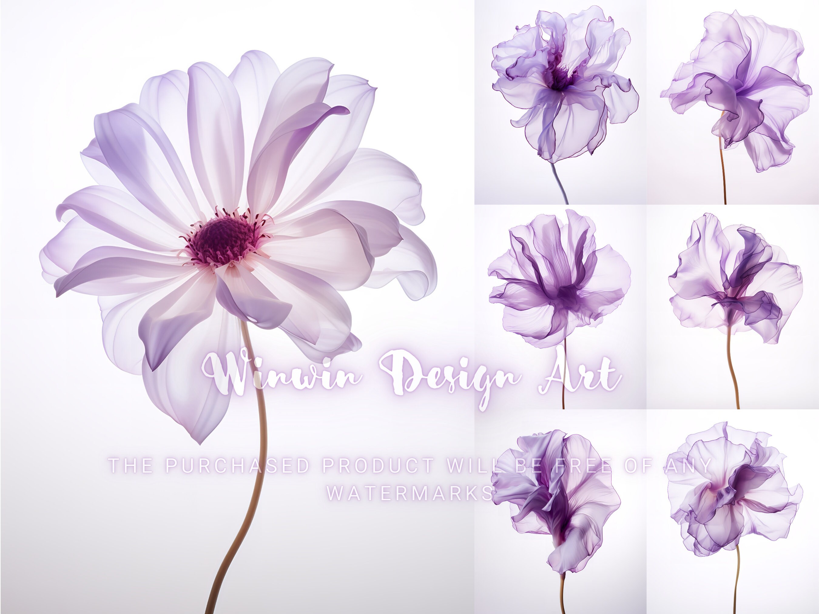 50 Purple Floral Digital Backdrop Flower Digital Background White ...