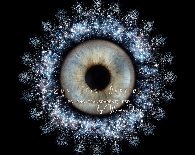 Human Eye Iris Photography Frame – Winter Glittering Eye Iris Backdrop ...