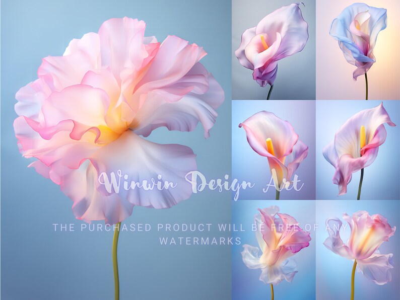 50 Flower Digital Backdrop Colorful Floral Digital Background - Etsy