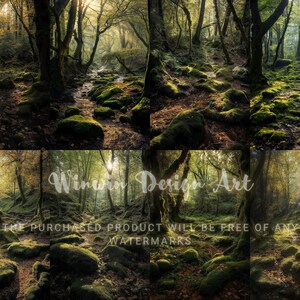 Forest Scenery Portrait Overlay Photoshop Backdrops, Digital ...