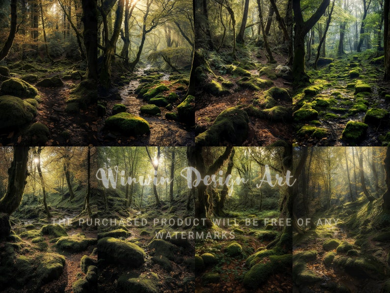 Forest Background Scene Portrait Overlay Photoshop Composite ...